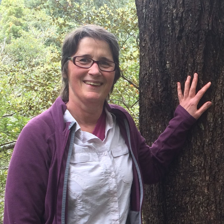 Gillian Candler: 2022 Winter Residency - Michael King Writers Centre